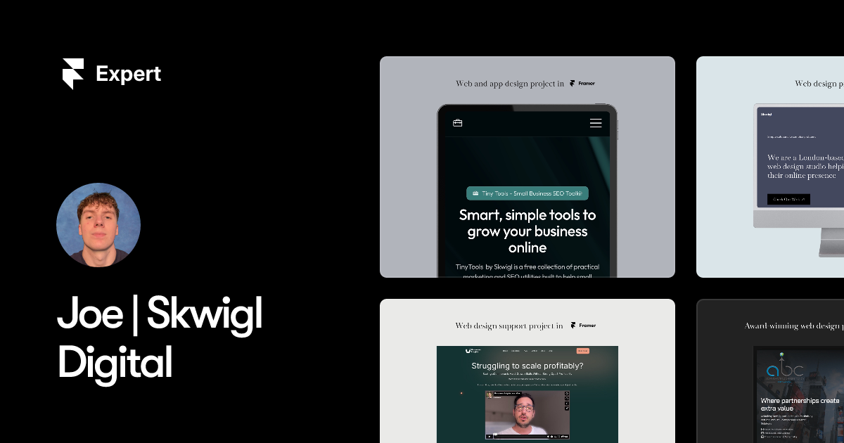 Joe | Skwigl Digital — Web Design Freelancer on Framer Experts