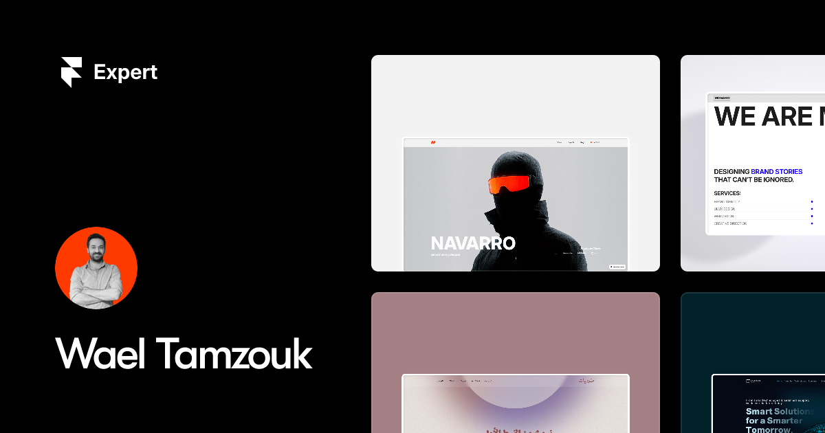Wael Tamzouk — Web Design Freelancer on Framer Experts